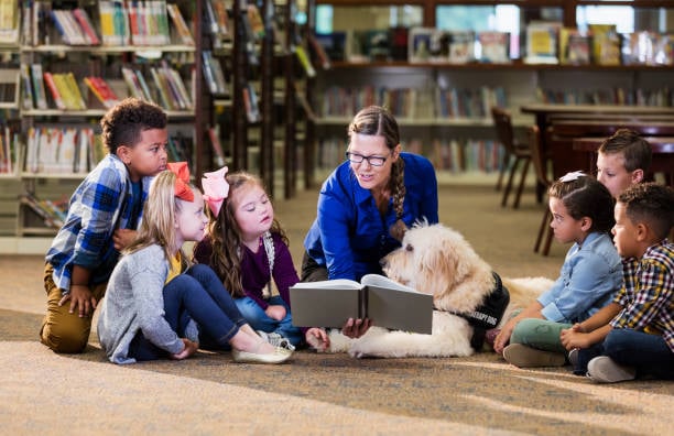 The Power of Collaboration Among Local Pet Businesses