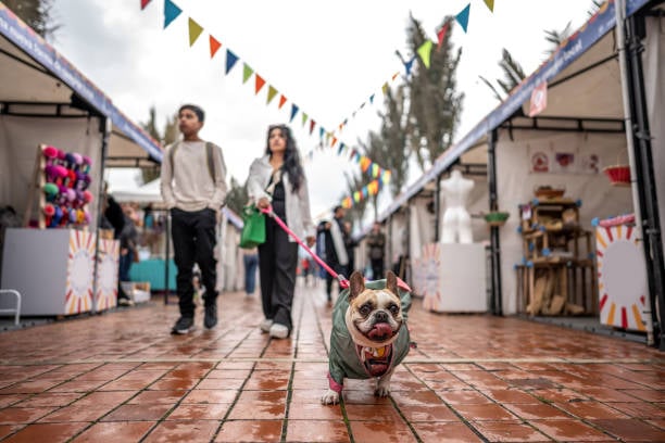 Planning a Pet-Friendly Community Event