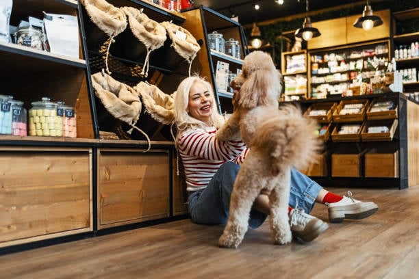 15 Trendy Pet Business Ideas to Inspire Your Next Big Move