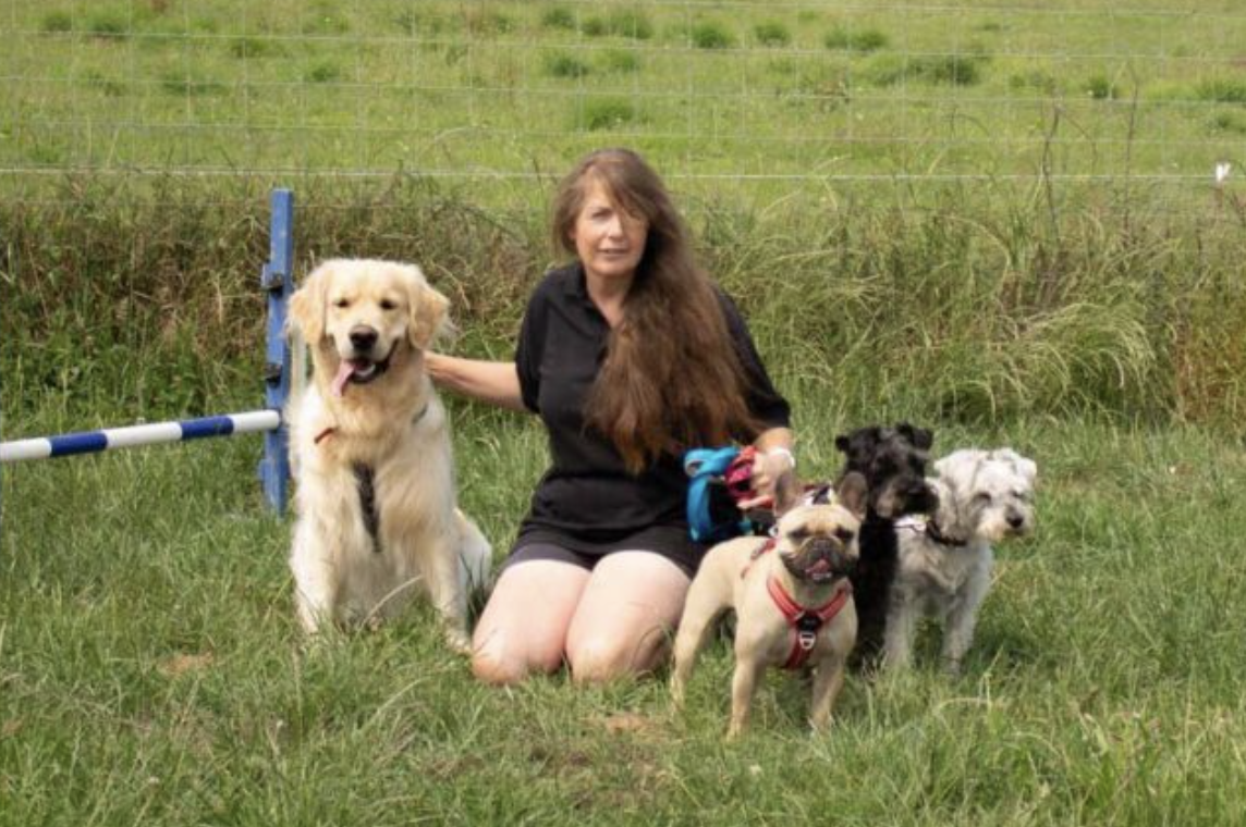 Classic Kennels and Revelation Pets: Making Dog Boarding Easier and Safer